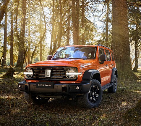 New TANK 300 for sale at Bendigo GWM HAVAL in Bendigo, VIC | Review ...